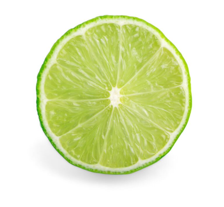 LIMA-LIMÓN en México. Citrus x limetta el limero, Citrus x aurantioflia ...